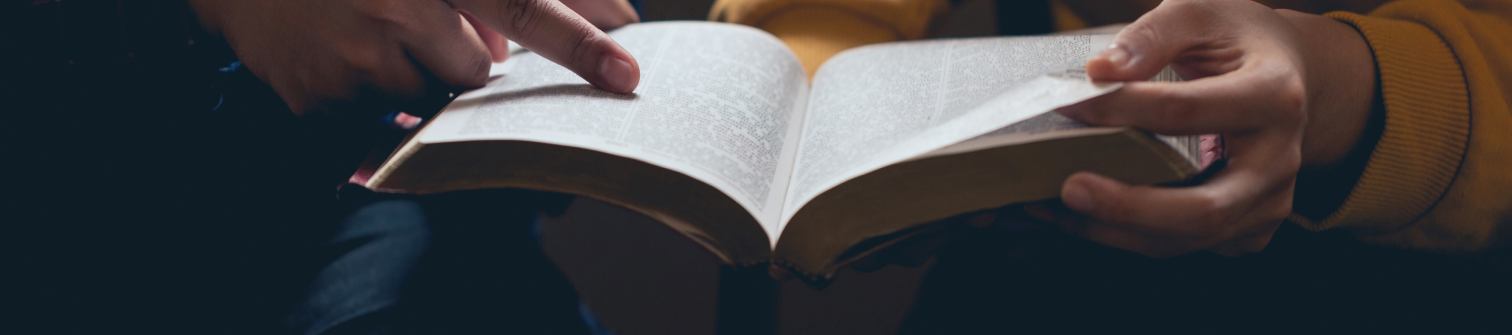 NIrV Scripture Search - NIV Bible NIV Bible