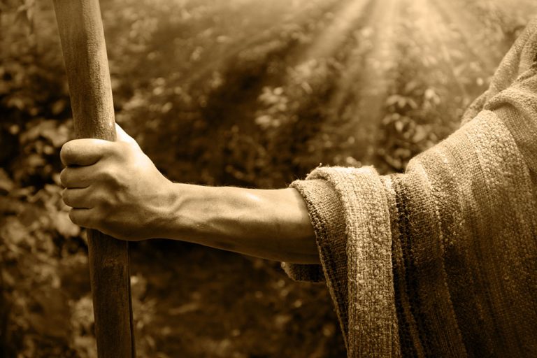 God’s Covenant with Moses Fulfilled Through Jesus - NIV Bible NIV Bible