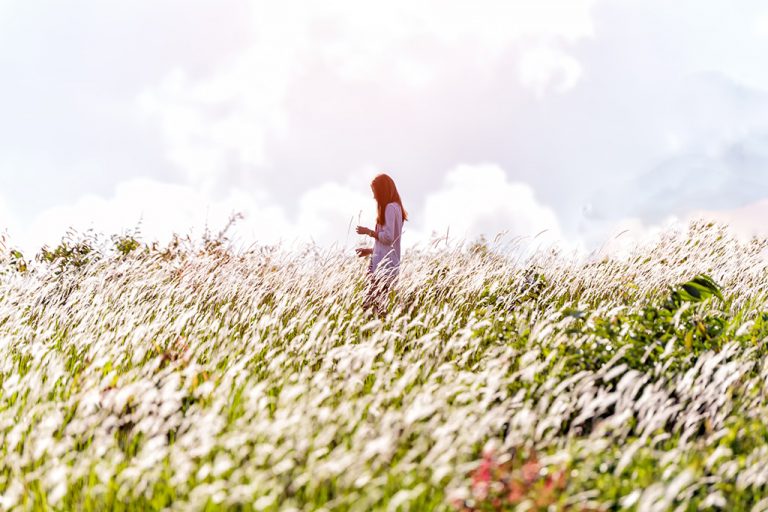 Cast All Your Anxiety on Him - NIV Bible | 1 Peter 5:7 NIV Bible