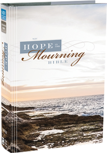 Job's Story in the Bible | Dealing with Grief | Scripture for Grief NIV ...