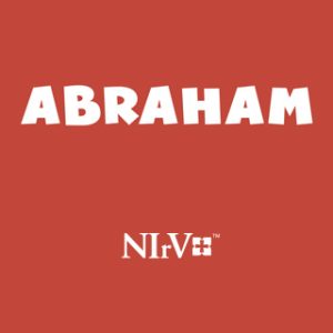 NIrV Activity Packs - NIV Bible NIV Bible