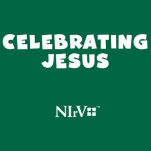 NIrV Activity Packs - NIV Bible NIV Bible