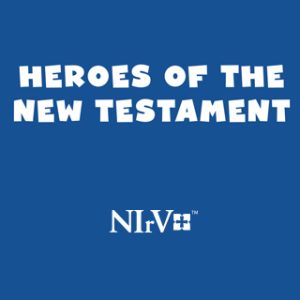 NIrV Activity Packs - NIV Bible NIV Bible