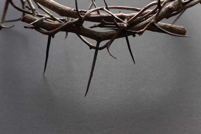 Holy Week Timeline - NIV Bible NIV Bible