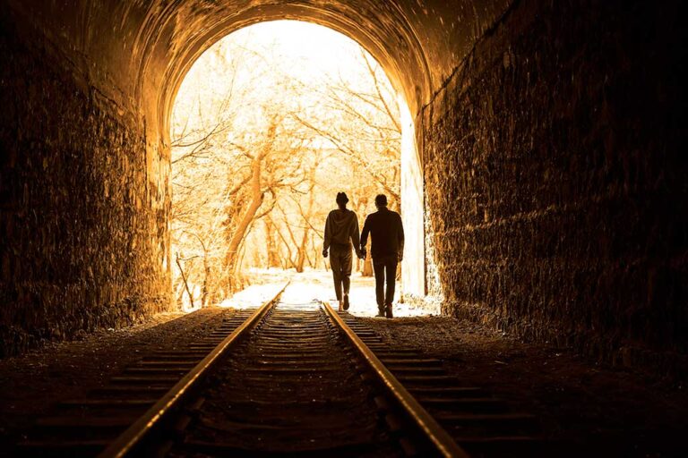 Partner with God in the Journey to a Better You - NIV Bible NIV Bible