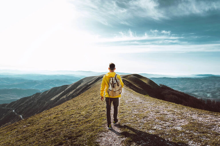 Seek God First and the Rest Will Follow - NIV Bible NIV Bible