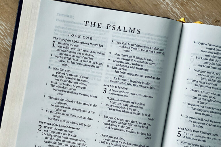 5 Ways the Psalms Help Us Worship God in Everyday Life - NIV Bible